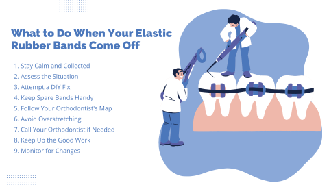 What Are the Rubber Bands for Braces Used For?